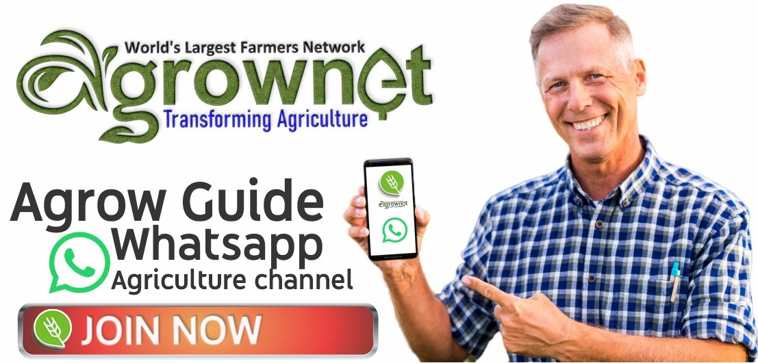 Agrownet™ Launches Dedicated Agriculture WhatsApp Channel: Empowering ...