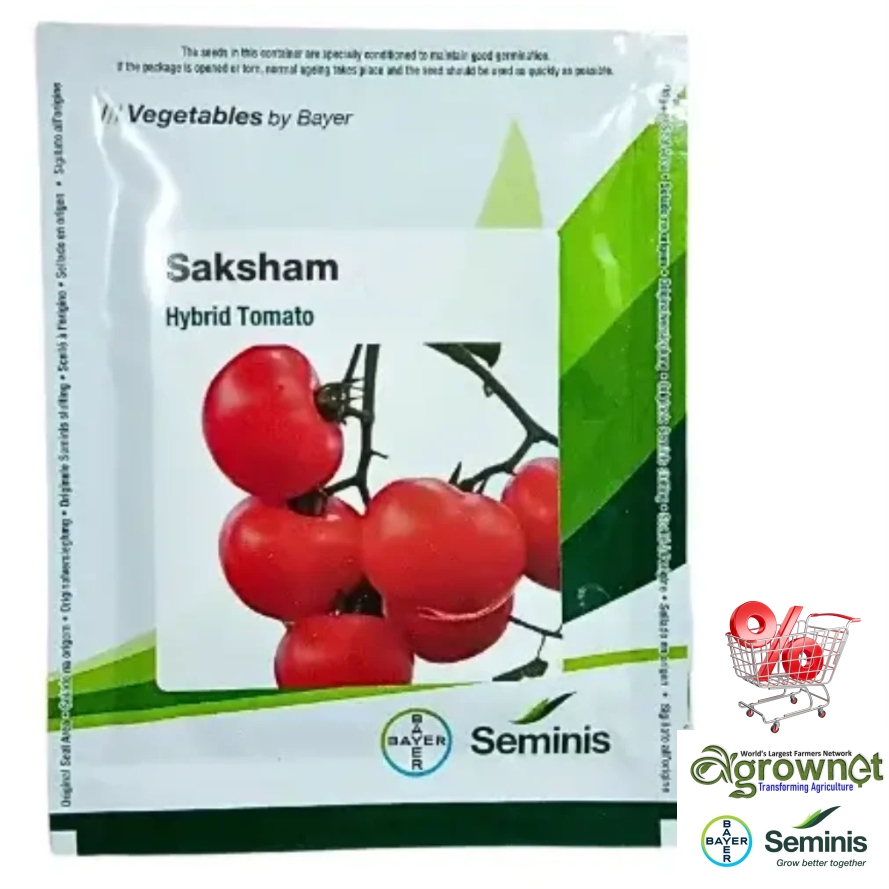 Seminis Saksham Tomato Seeds