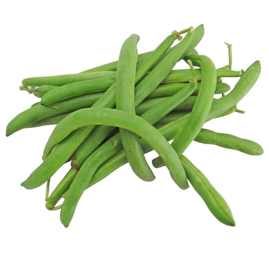 French beans cultivation | French beans crop management #Agrownet