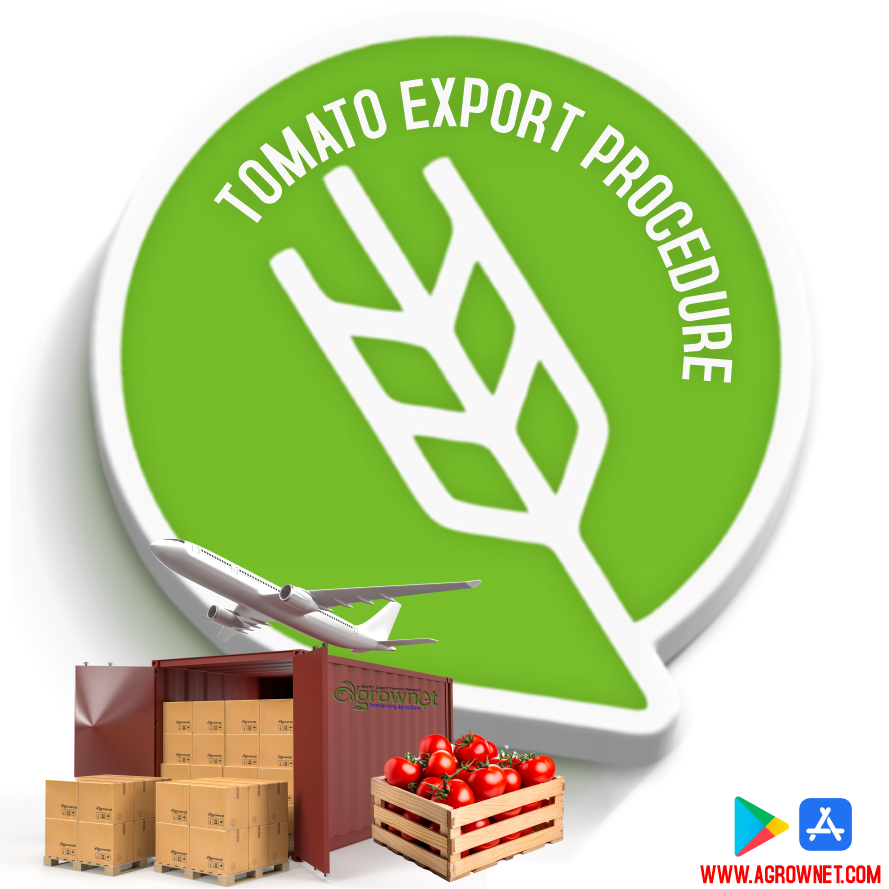 🌎 Tomato Export procedure Agrownet Comprehensive Guide to Tomato Export ...