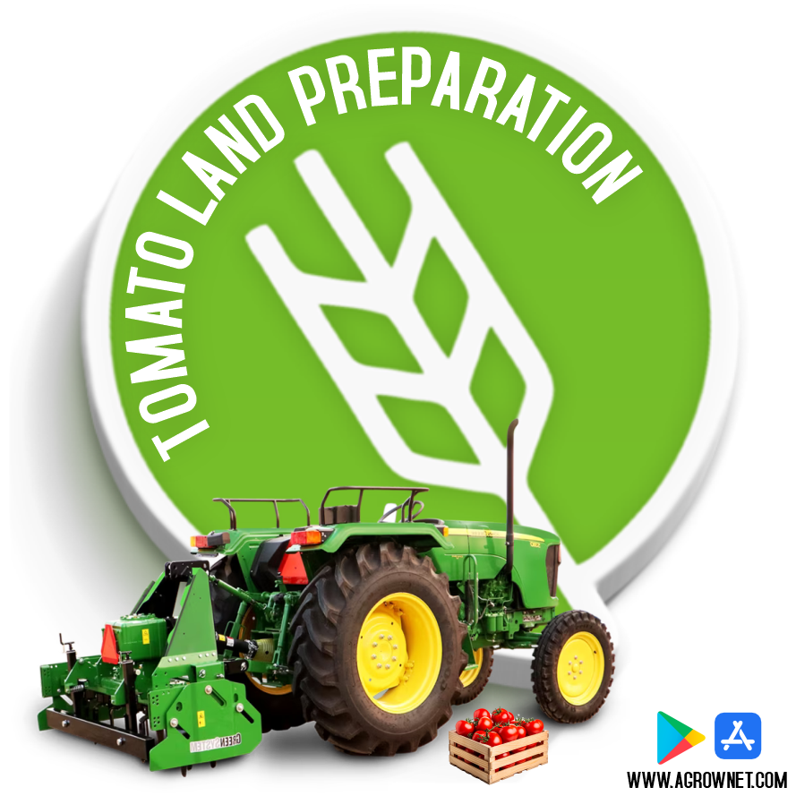 🌱 Tomato Land preparation : Agrownet A Comprehensive Guide to Tomato ...