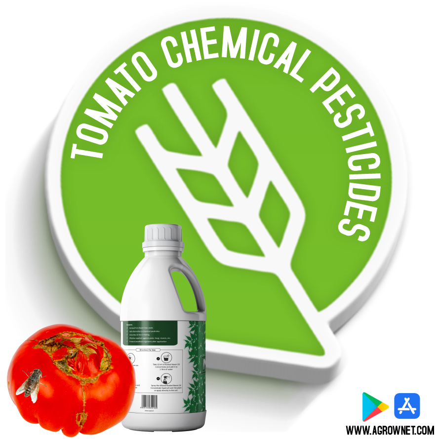 🚫 Tomato Pesticides: The Role of Pesticides in Tomato Plant Health